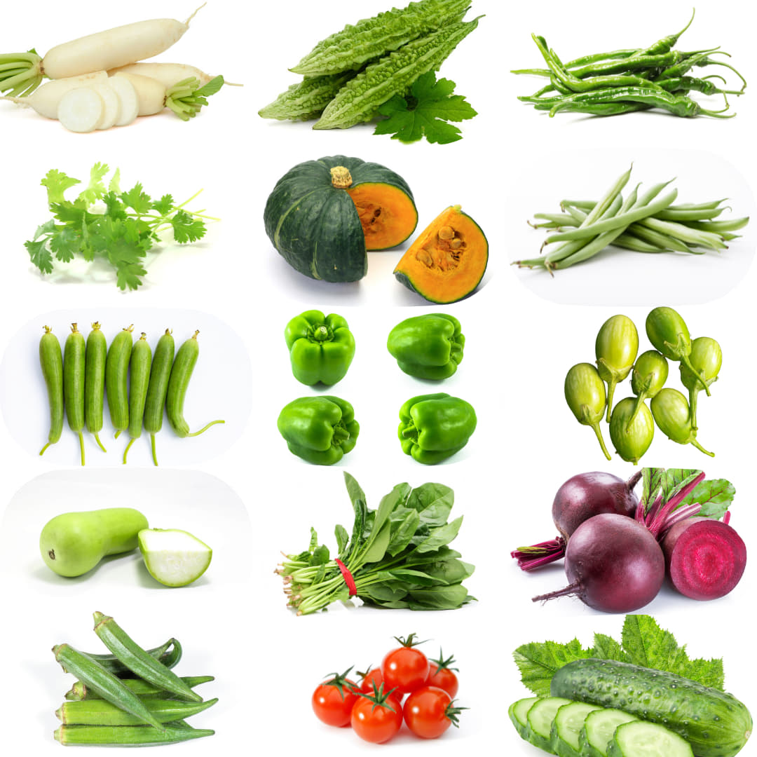 Buy Set Of 15 Best Vegetable Seeds To Sow In Rainy Season buy-set-of-15-best-vegetable-seeds-to-sow-in-rainy-season