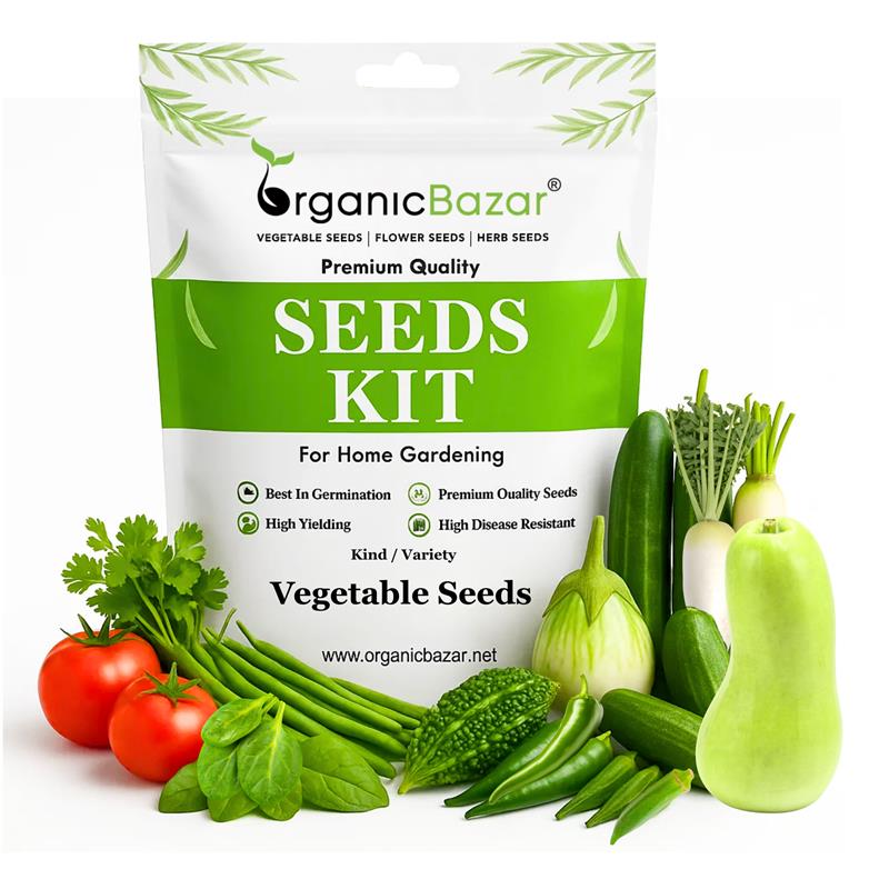 Buy Kitchen Garden Seeds Kit Online India - OrganicBazar