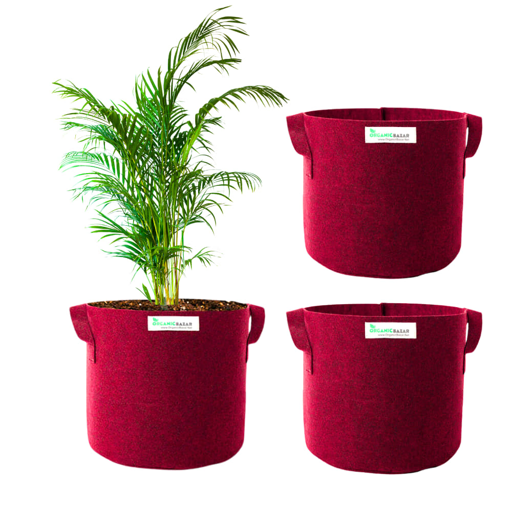Buy 12x12 inch Geo fabric grow bags online at best price
