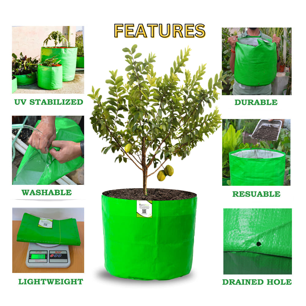 Large Big Size 24×24 inch HDPE Grow Bag For Home Gardening