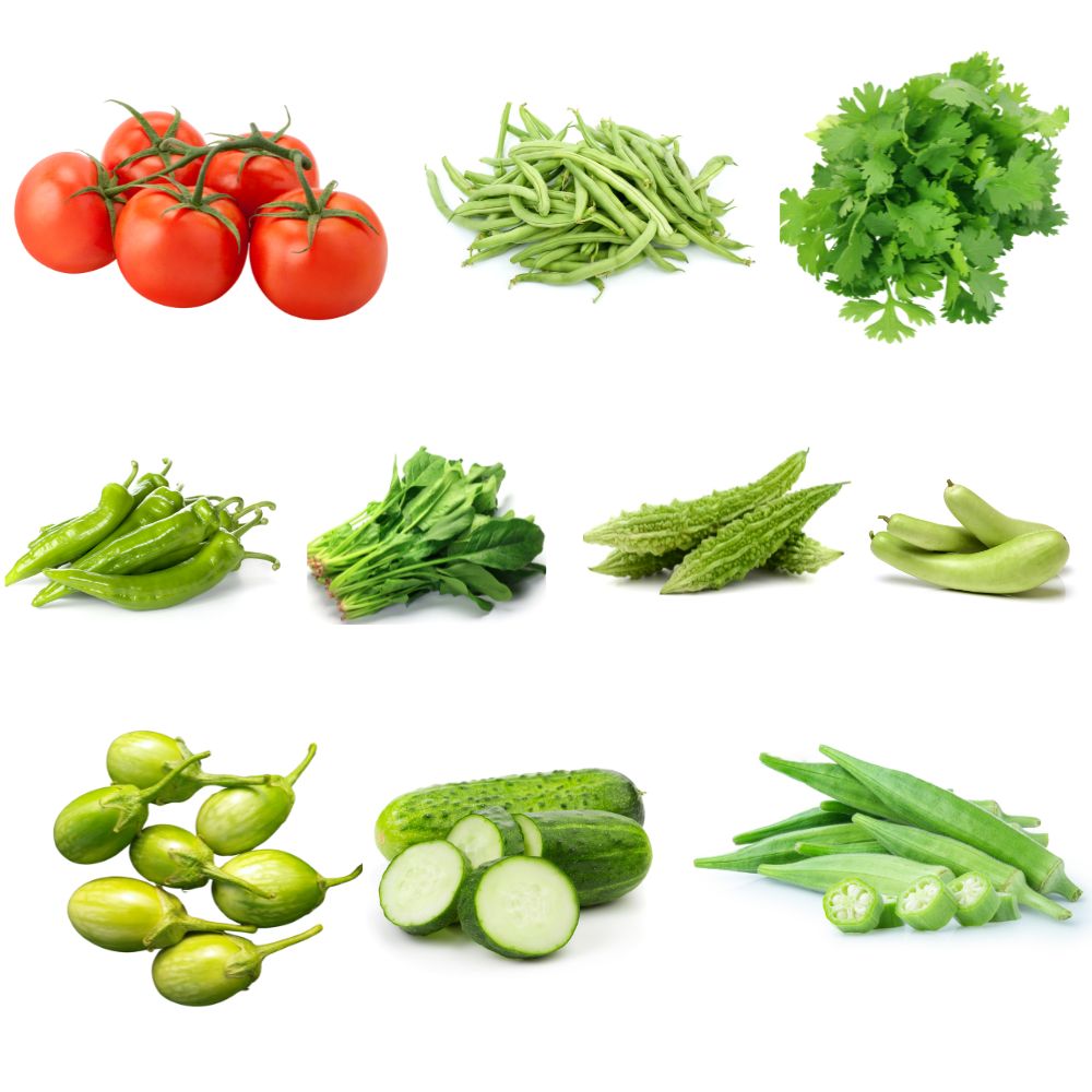 Buy All Time Vegetable Seeds Kit for Kitchen Garden or Terrace ...