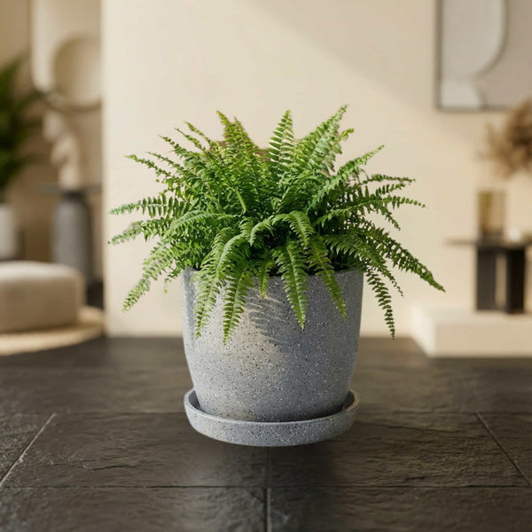 Roto-Moulded Aroma Pot with Saucer for Indoor & Outdoor Garden ...