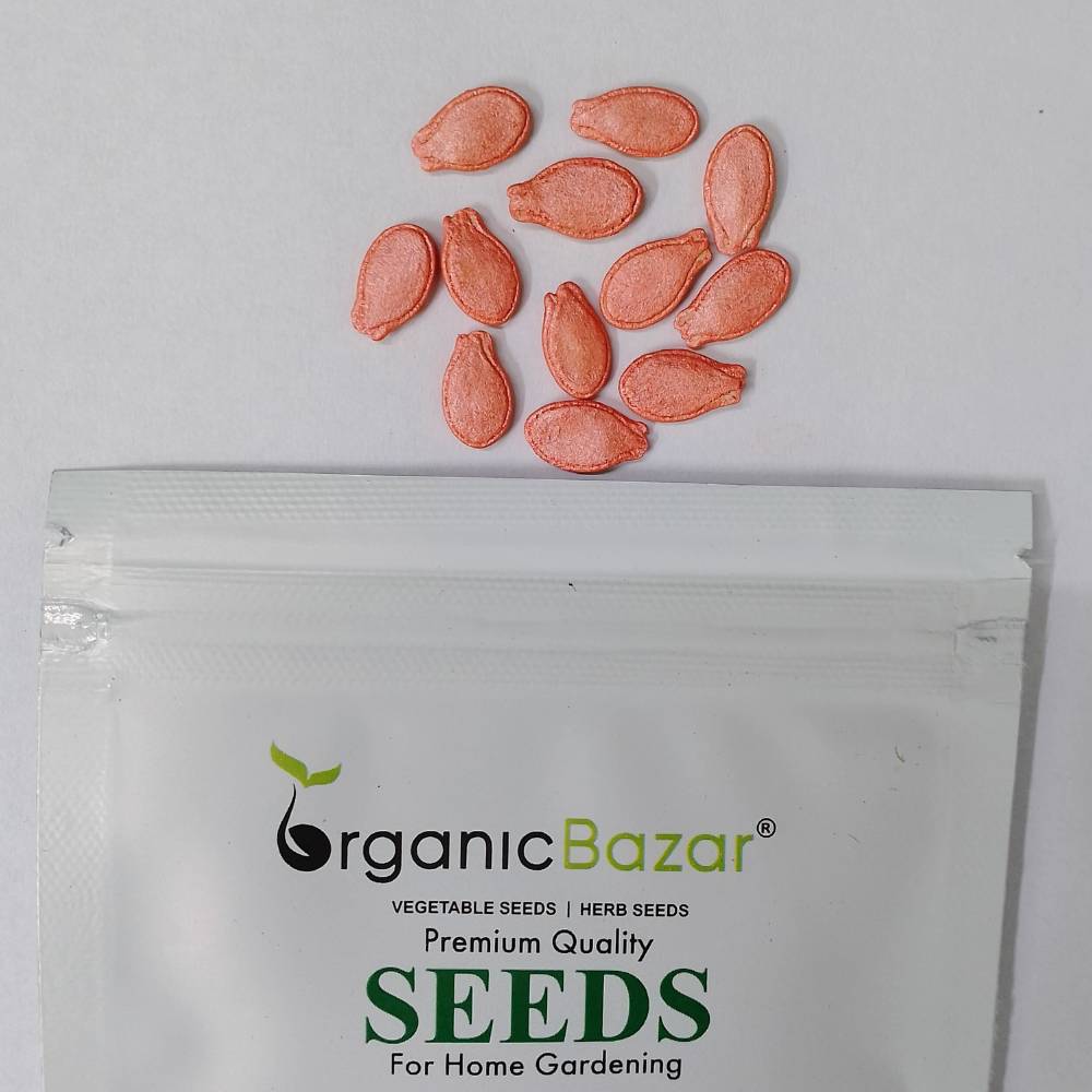 Buy Best Quality Ash Gourd F-1 Hybrid Seeds Online