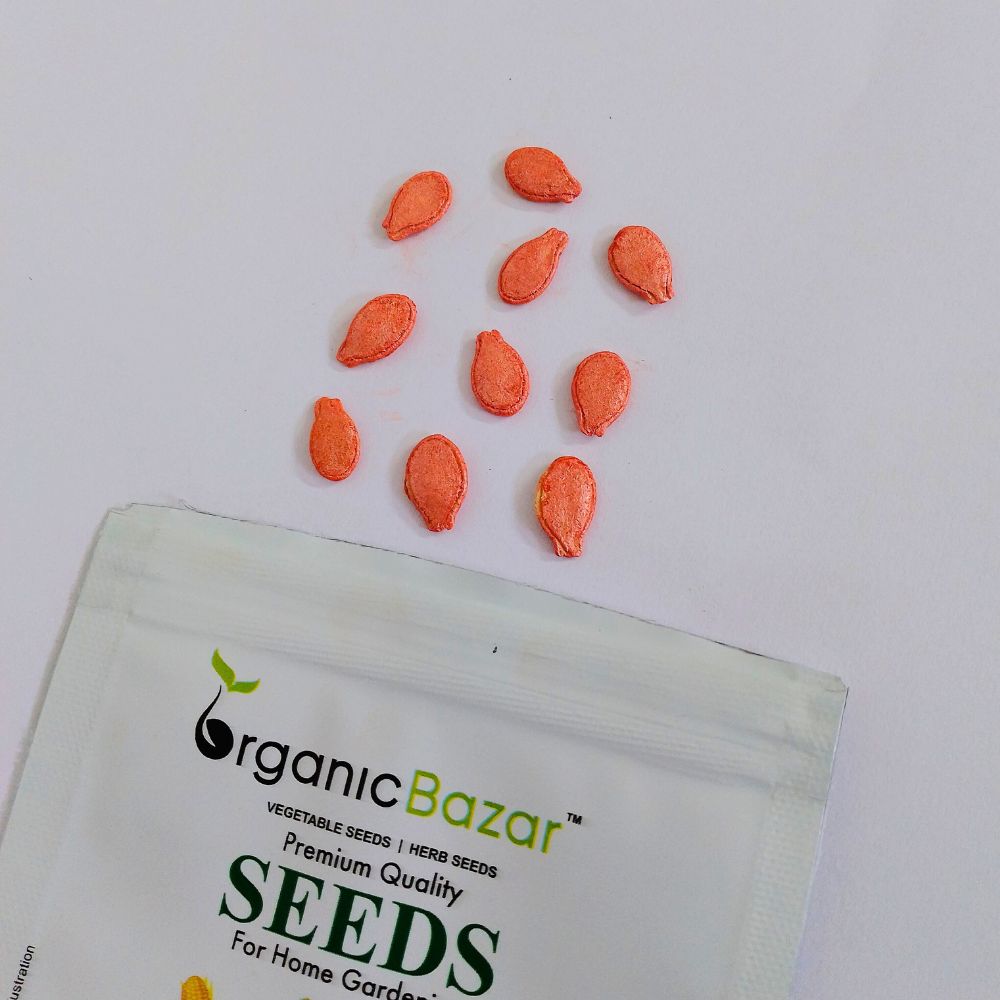 Buy Best Quality Ash Gourd F-1 Hybrid Seeds Online