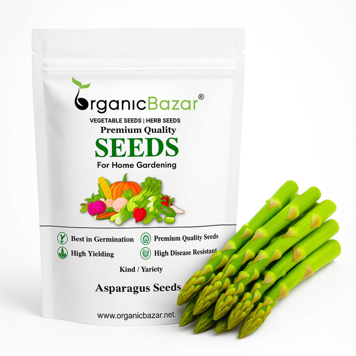 Buy Asparagus Seeds