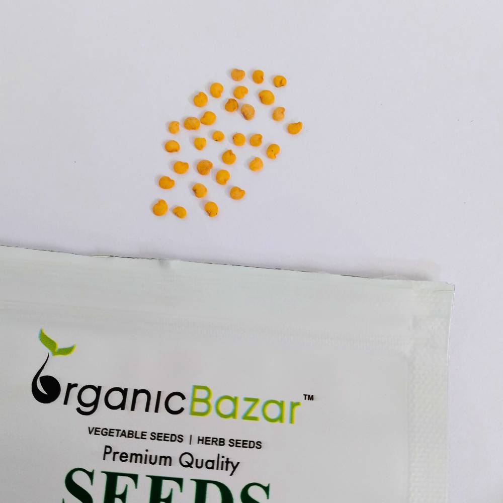 Buy Best Quality Brinjal (Baigan) Green Hybrid Seeds Online