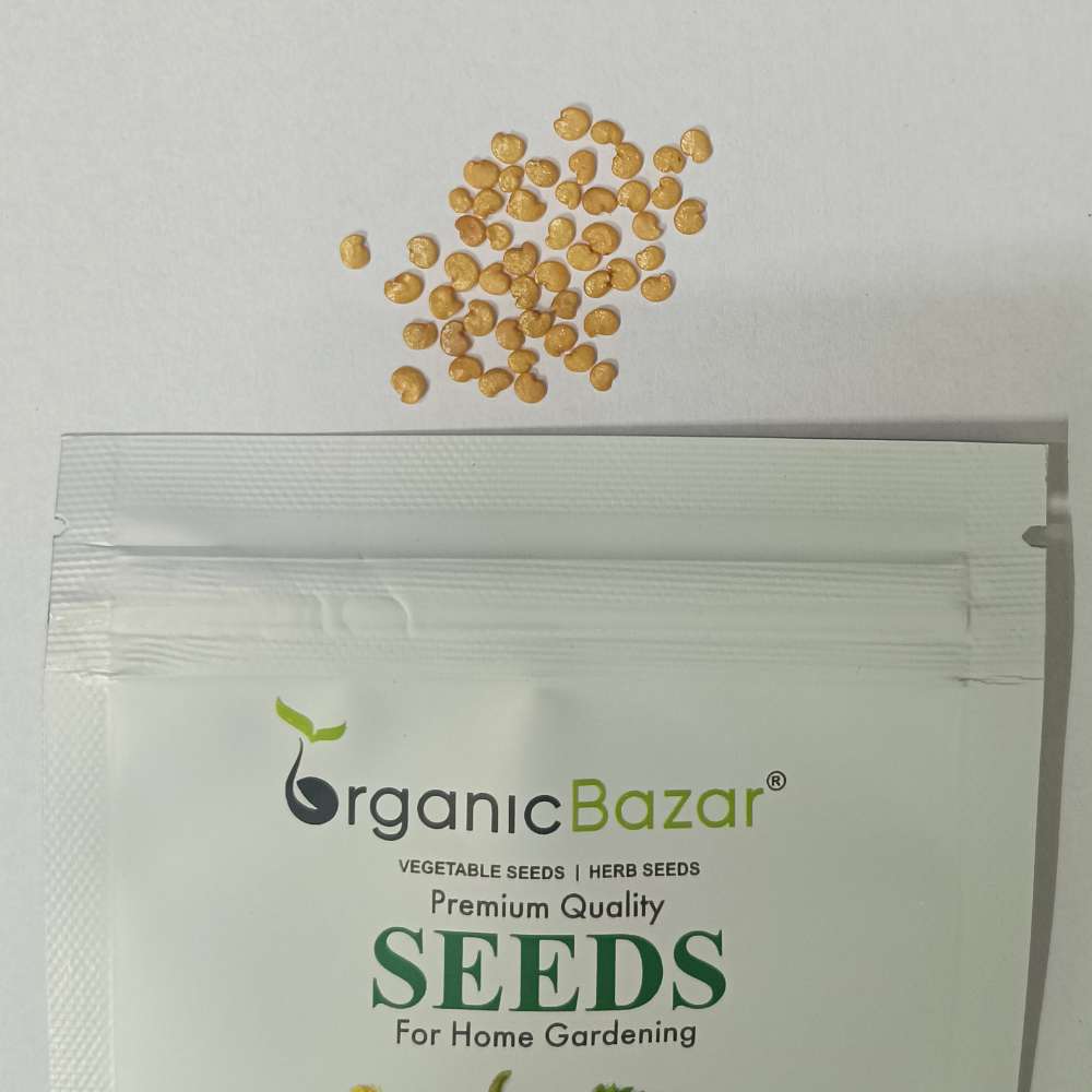 Buy best Quality Bharta baingan F1 Hybrid Seeds Online