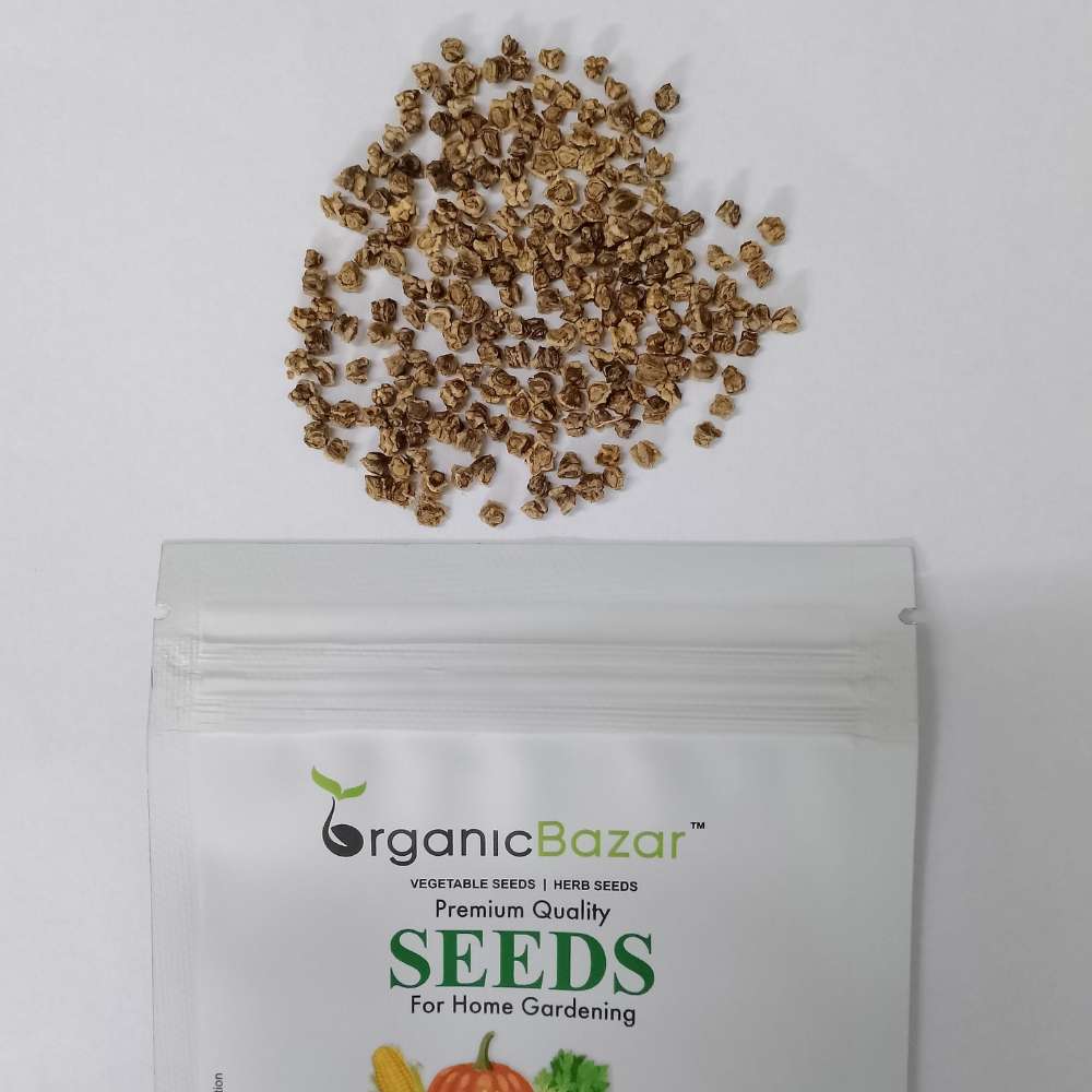 Buy Untreated Beetroot Seeds online - OrganicBazar