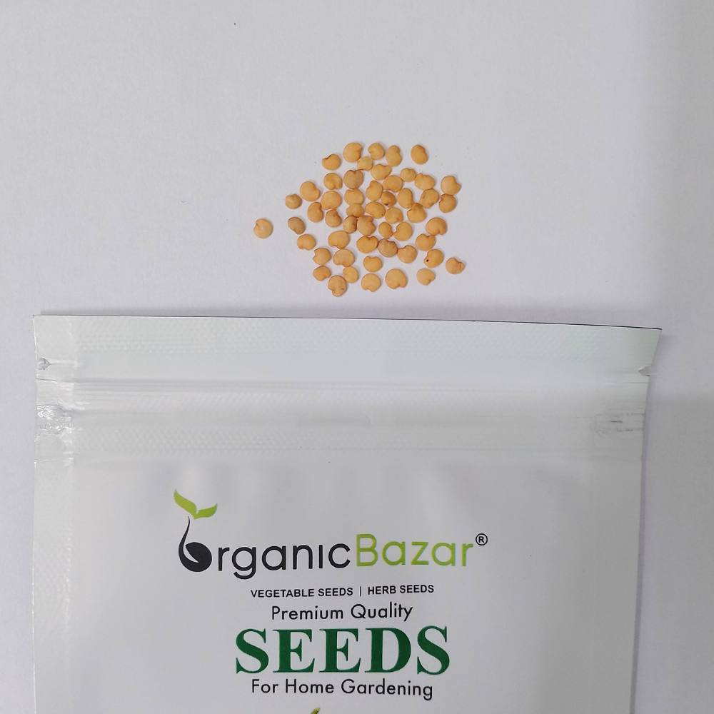 Brinjal Purple Long Seeds - 50 Seeds (Bainganee Baingan/Eggplant/बैंगन