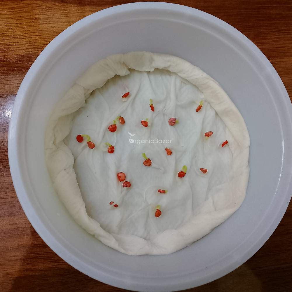 Buy Best Quality Capsicum-Bellpepper Mixed-6types Seeds Online ...