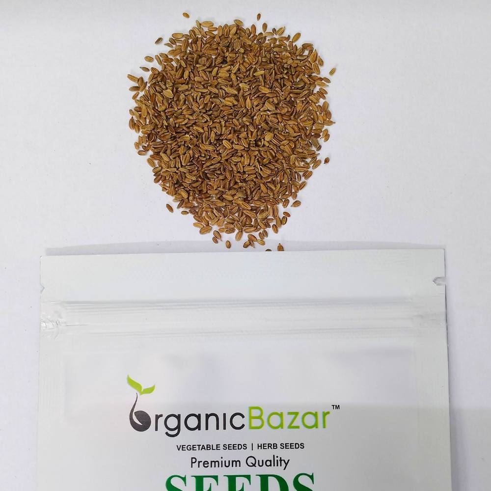 Buy Best Quality Carrot IMP Karuda Seeds – Organicbazar