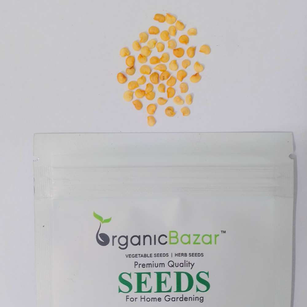 Buy Best Quality Chilli Extra Long Seeds Seeds Online - Organicbazar