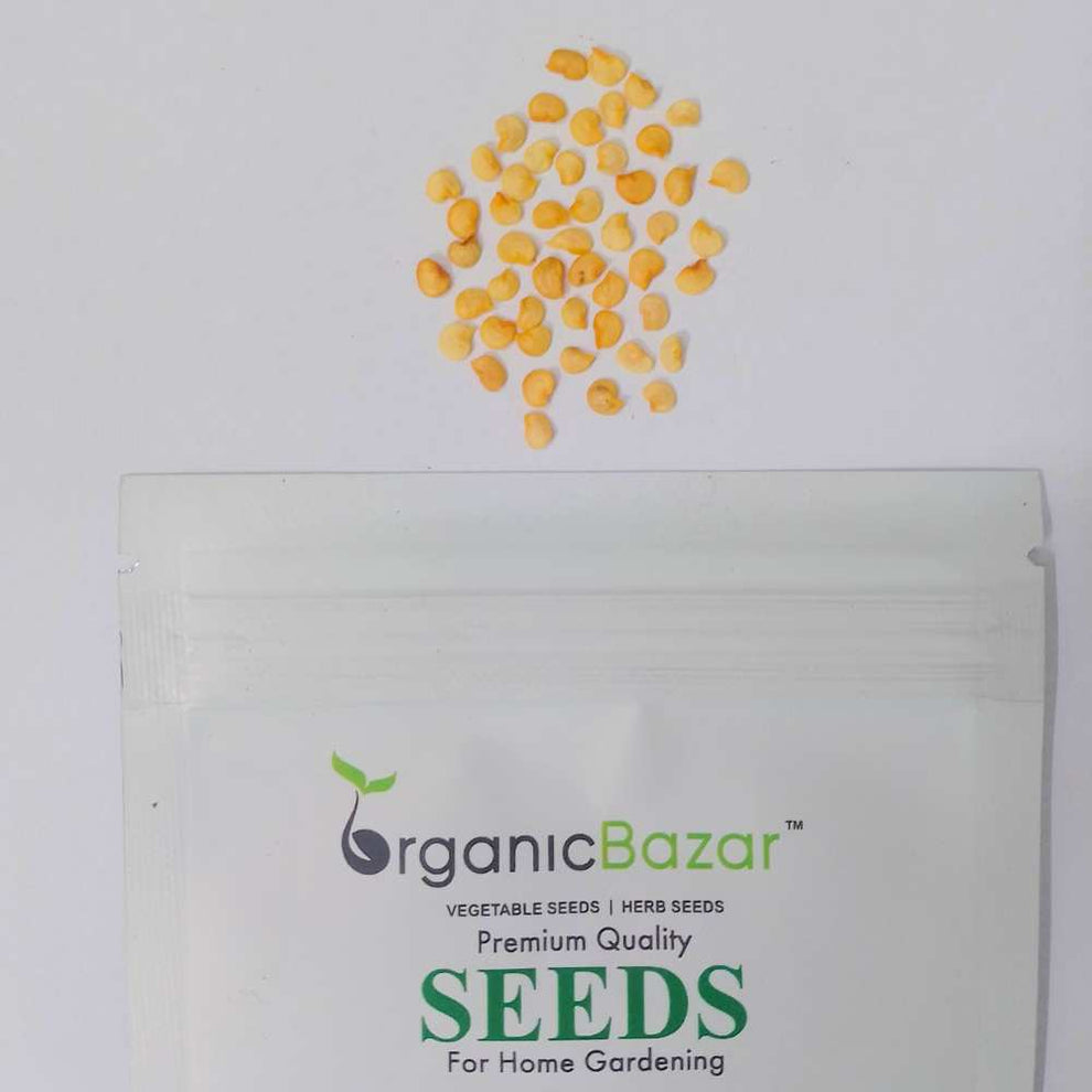 Buy Best Quality Chilli Extra Long Seeds Seeds Online - Organicbazar