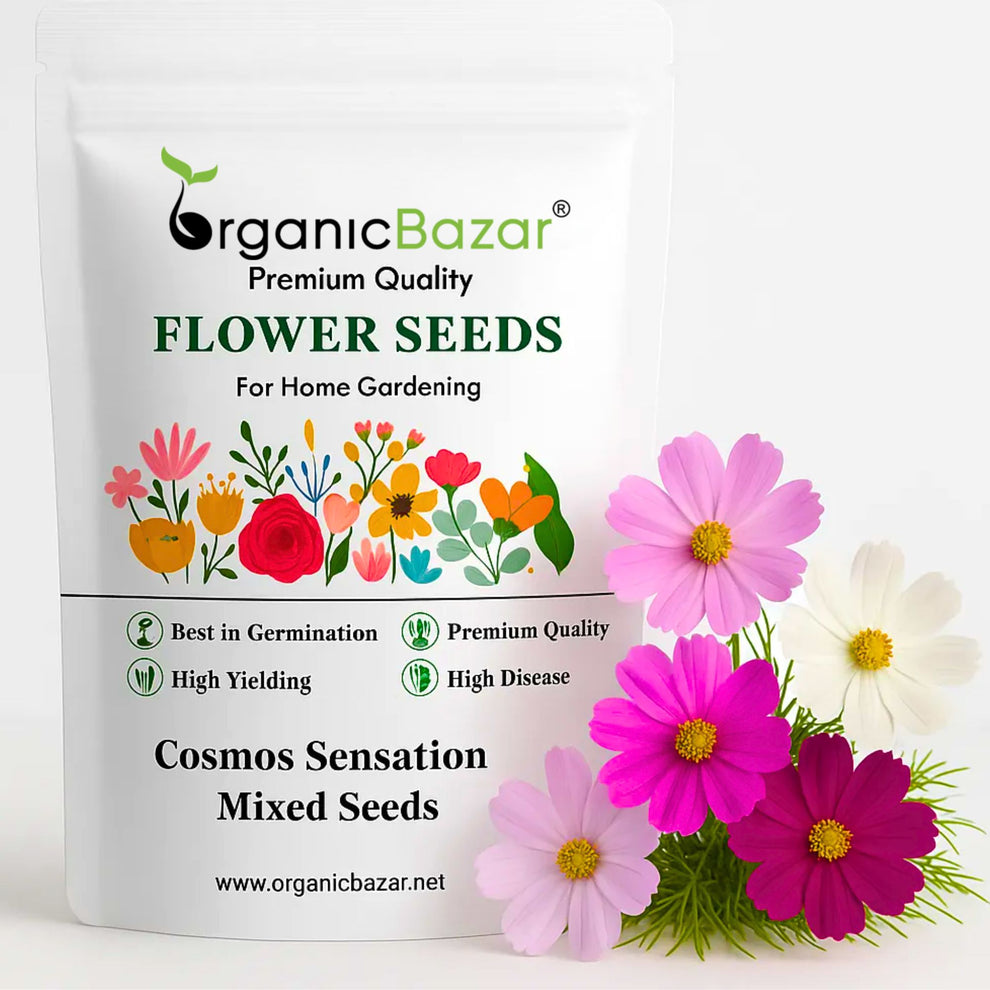 Buy Best Quality Cosmos Sensation Mixed Flower Seeds online - Organicbazar