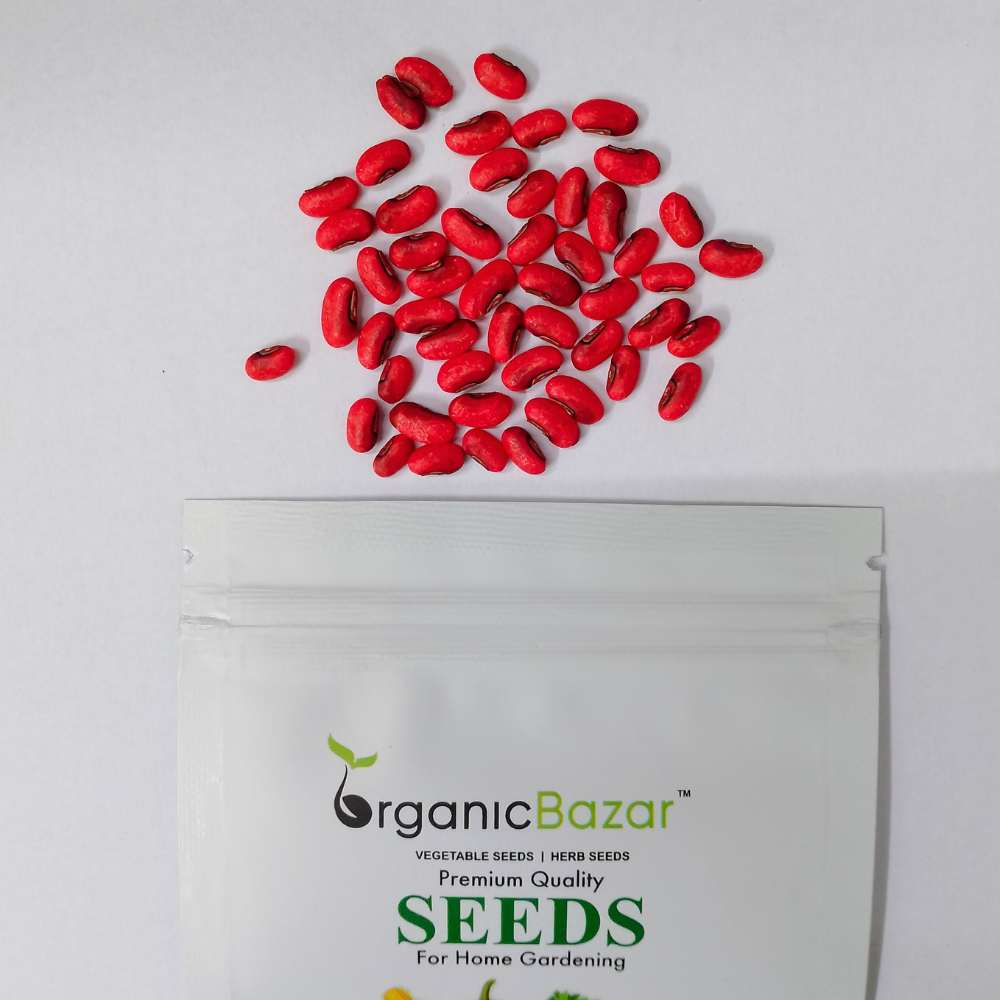 Cowpea (Lobia Beans) Hybrid Seeds - 50 Seeds (Barbati/ लोबिया/बरबटी के