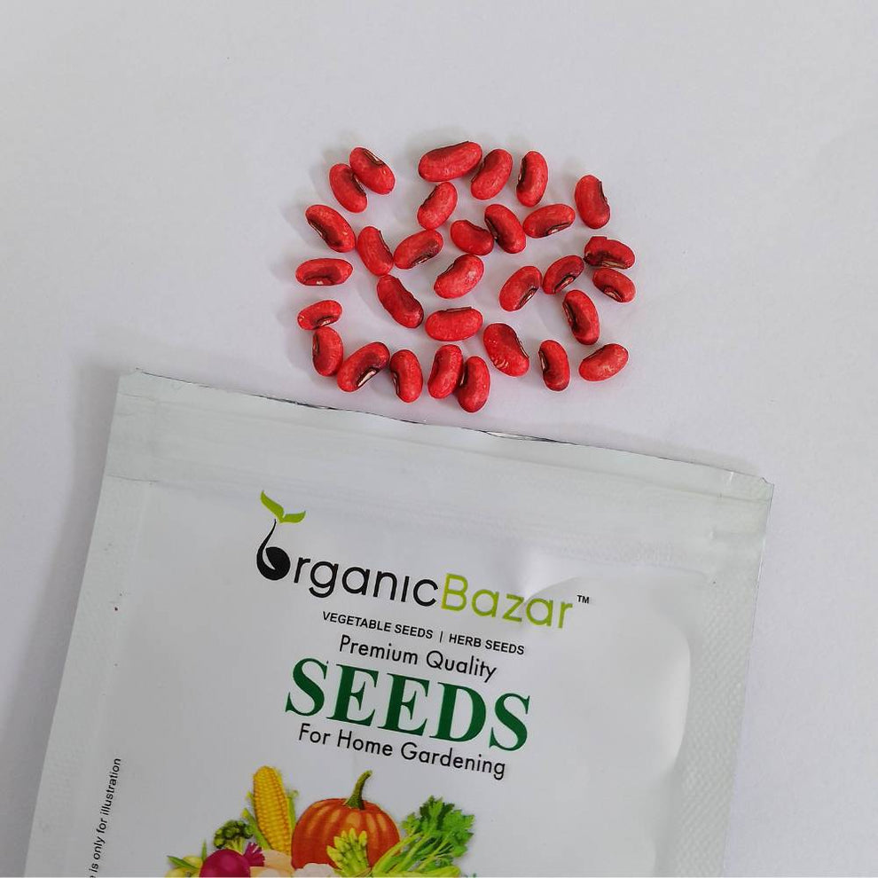 Cowpea (Lobia Beans) Hybrid Seeds (Barbati/ लोबिया/बरबटी के बीज)