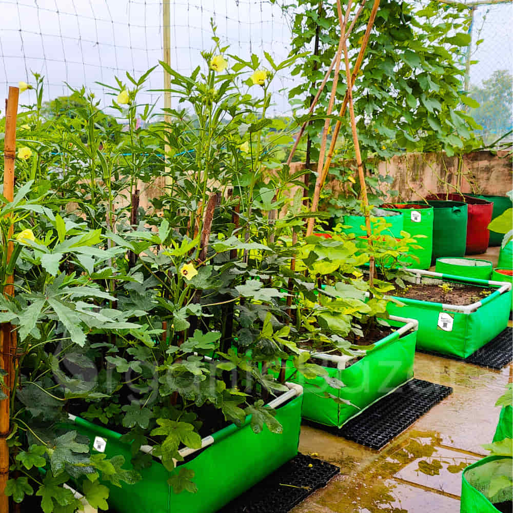 Drainage Mat Or Drain Cell For Terrace Garden