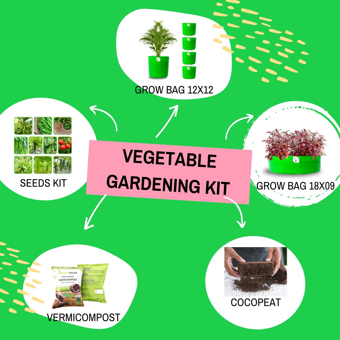 Grow Your Own Vegetables with Our Easy Vegetable Gardening Kit
