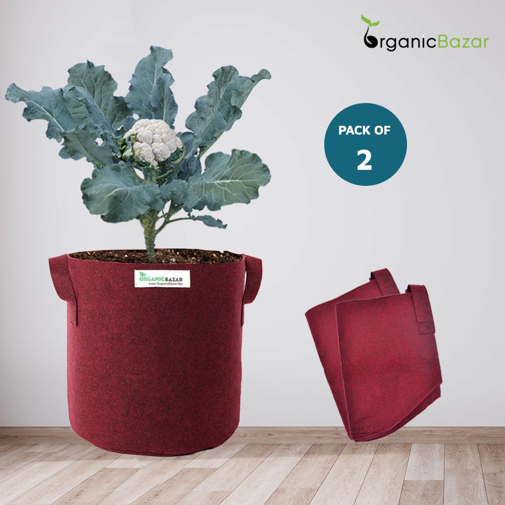 Geo Fabric Grow Bag 15X18 Inch Geo Fabric Grow Bags