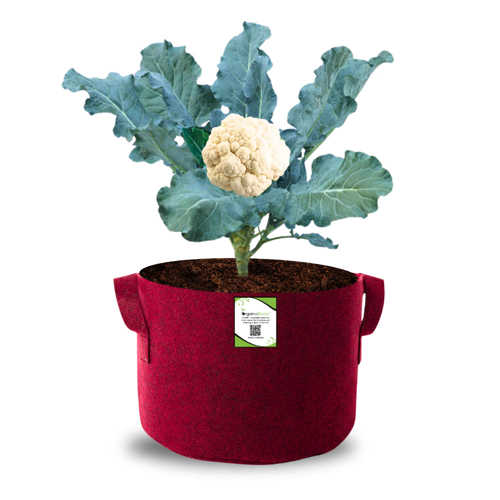 Geo Fabric Grow Bag 18X12 Inch Geo Fabric Grow Bags