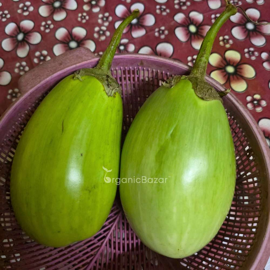 OrganicBazar - Buy Seeds, Grow Bag, and Organic Fertilizer Online