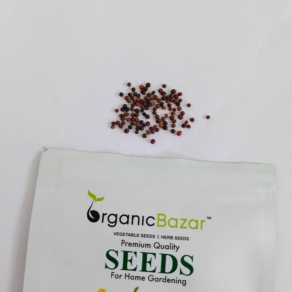 Buy Best quality Kale Hybrid Seeds online - Organicbazar