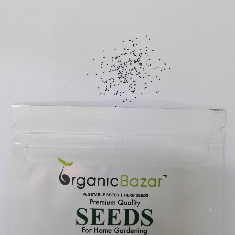 Buy Best Quality Mint/Peppermint Pudina seeds (पुदीना के बीज)