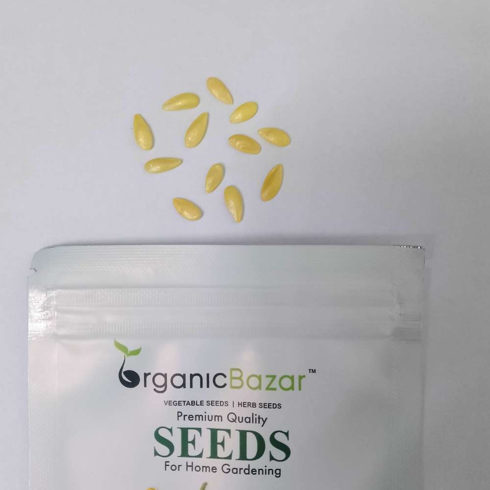 Buy Best Quality Musk melon Hybrid Seeds Online : Organicbazar
