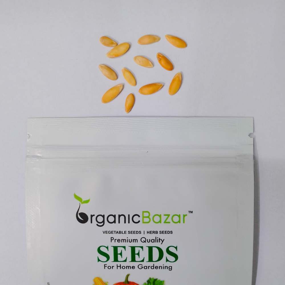 Buy Best Quality Musk melon F1 Hybrid Super Kajri Seeds