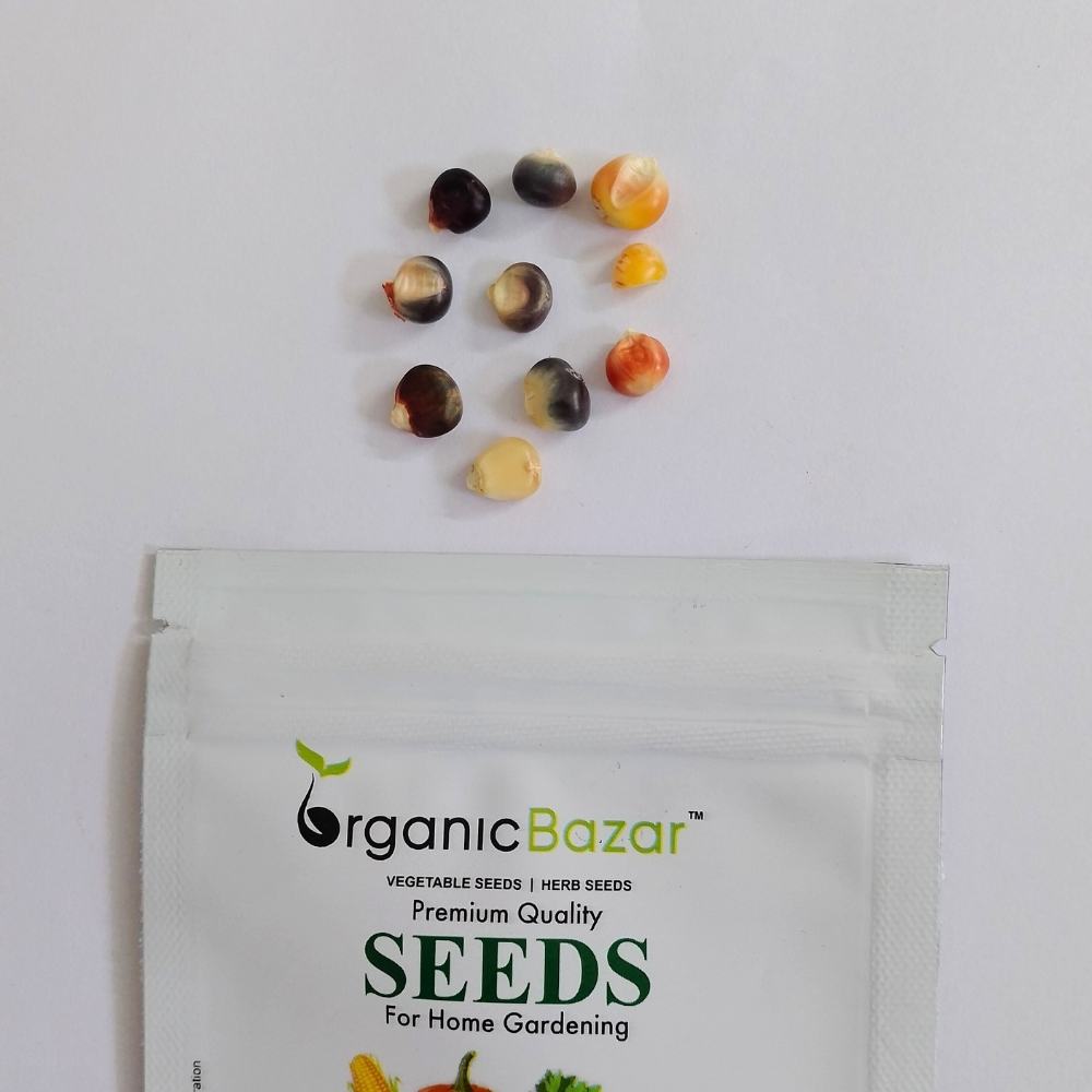 Buy Best Quality Ornamental Multi Color Corn Seeds online
