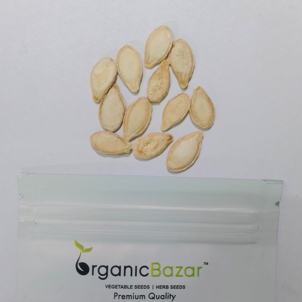 Pumpkin (kaddu) Seeds Hybrid - 12 Seeds (कद्दू के बीज)