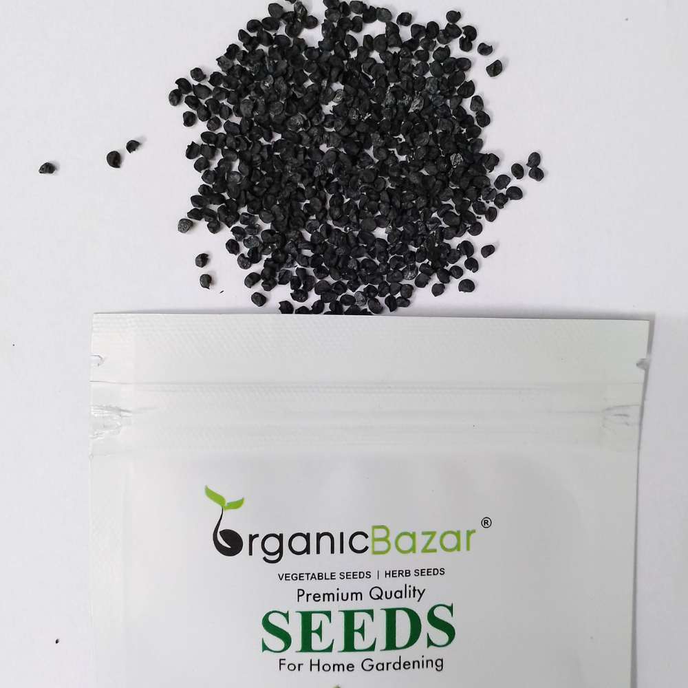 Red Onion Seeds, High-Quality Seeds, Best for home gardeners