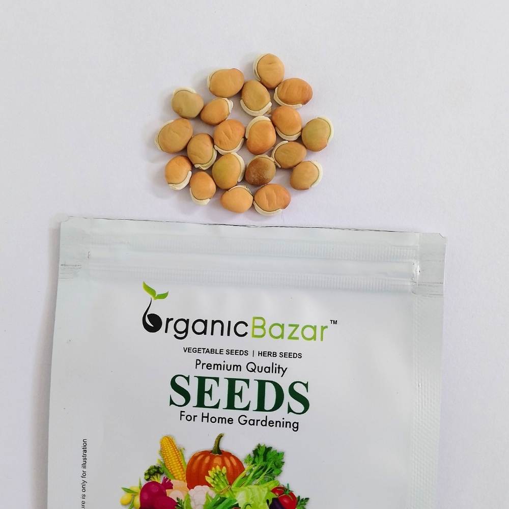 Buy Best Quality Sem Phali or lima bean (Barahmasi) Seeds Online ...