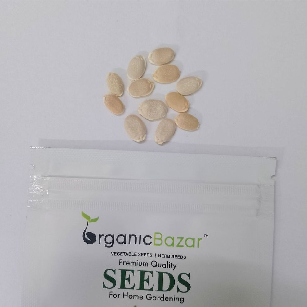 Buy Best Quality Sponge gourd Light Green F1 Hybrid Seeds Online