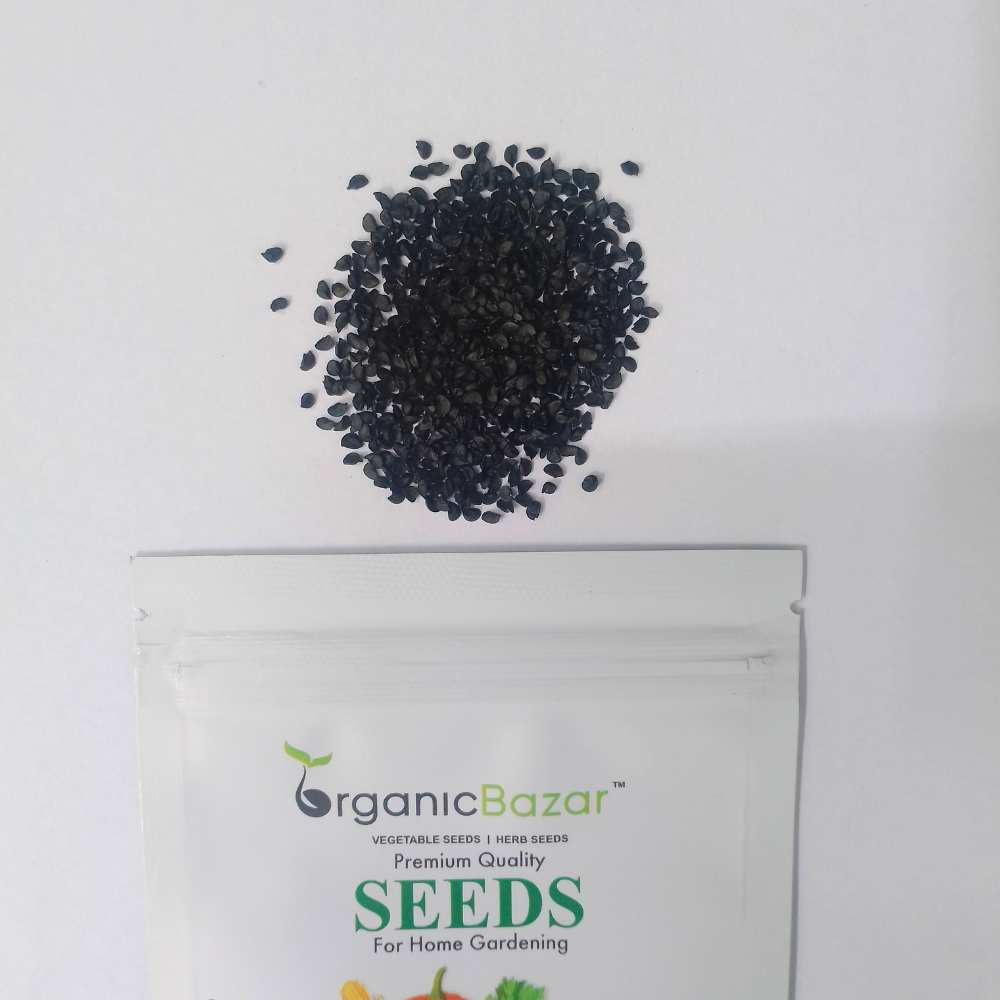 Buy Best Quality Spring Onion (Bunching Onion) seeds