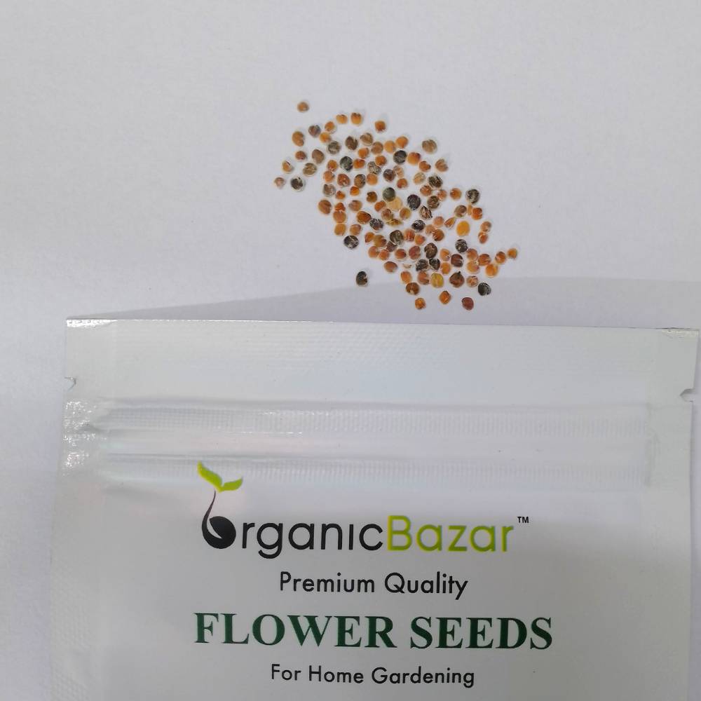 Buy Best Quality Stocks Mixed Color Flower Seeds Online - Organicbazar
