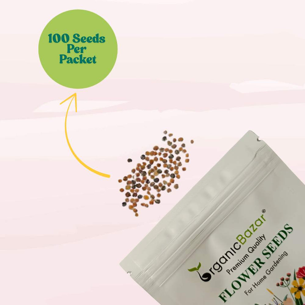 Buy Best Quality Stocks Mixed Color Flower Seeds Online - Organicbazar