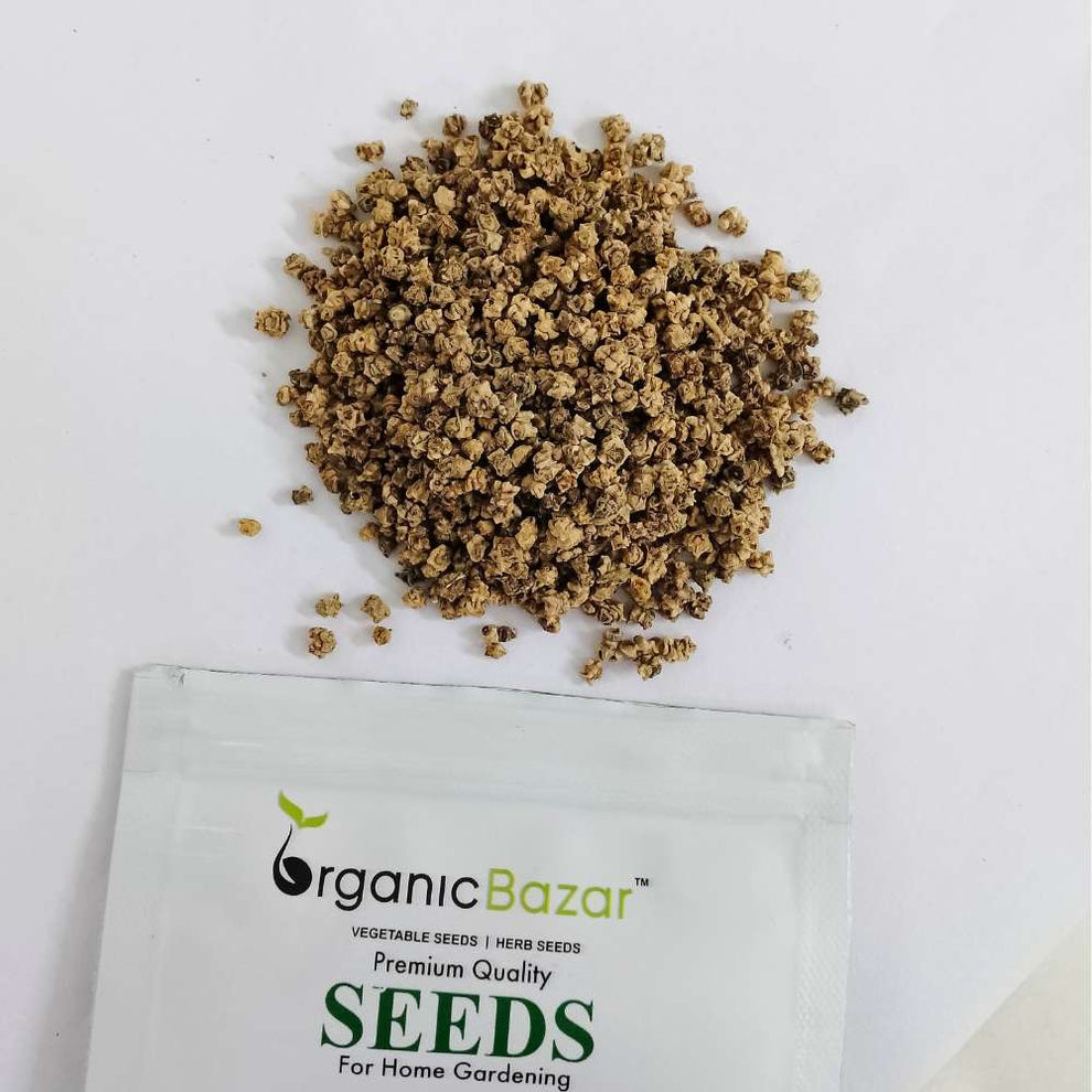 Buy Untreated Spinach Seeds Online