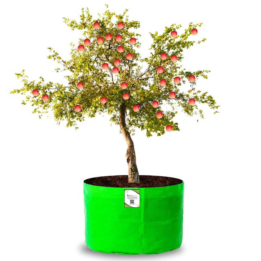 HDPE 24x18 Grow Bags for Terrace Gardening Extra Thick Premium Quality