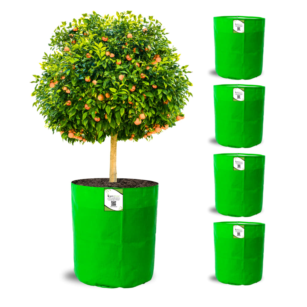 OrganicBazar 18X24 Tree Grow Bag for Home Gardening, Premium HDPE 260
