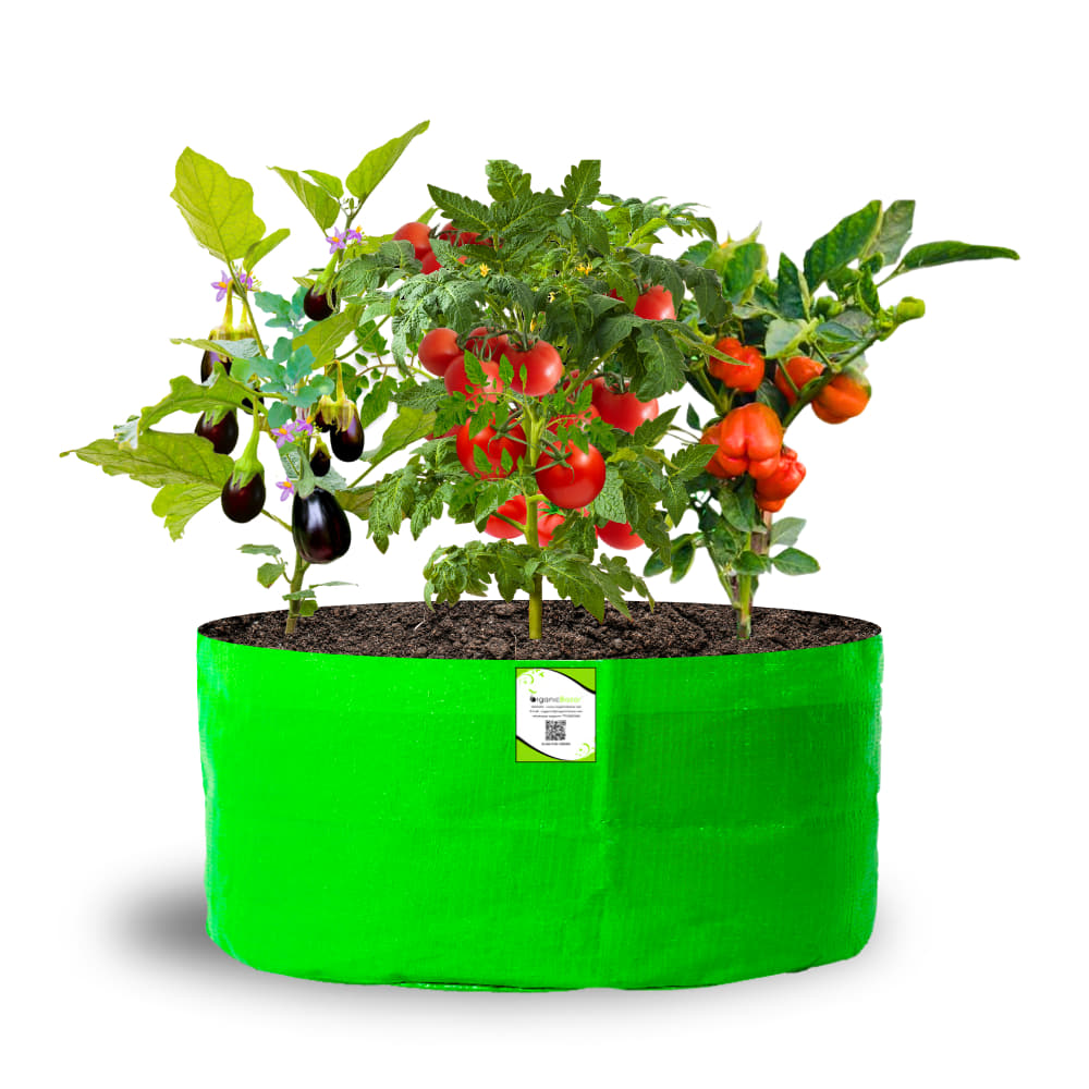 Buy Premium Quality Grow Bags Online for Home Garden - OrganicBazar