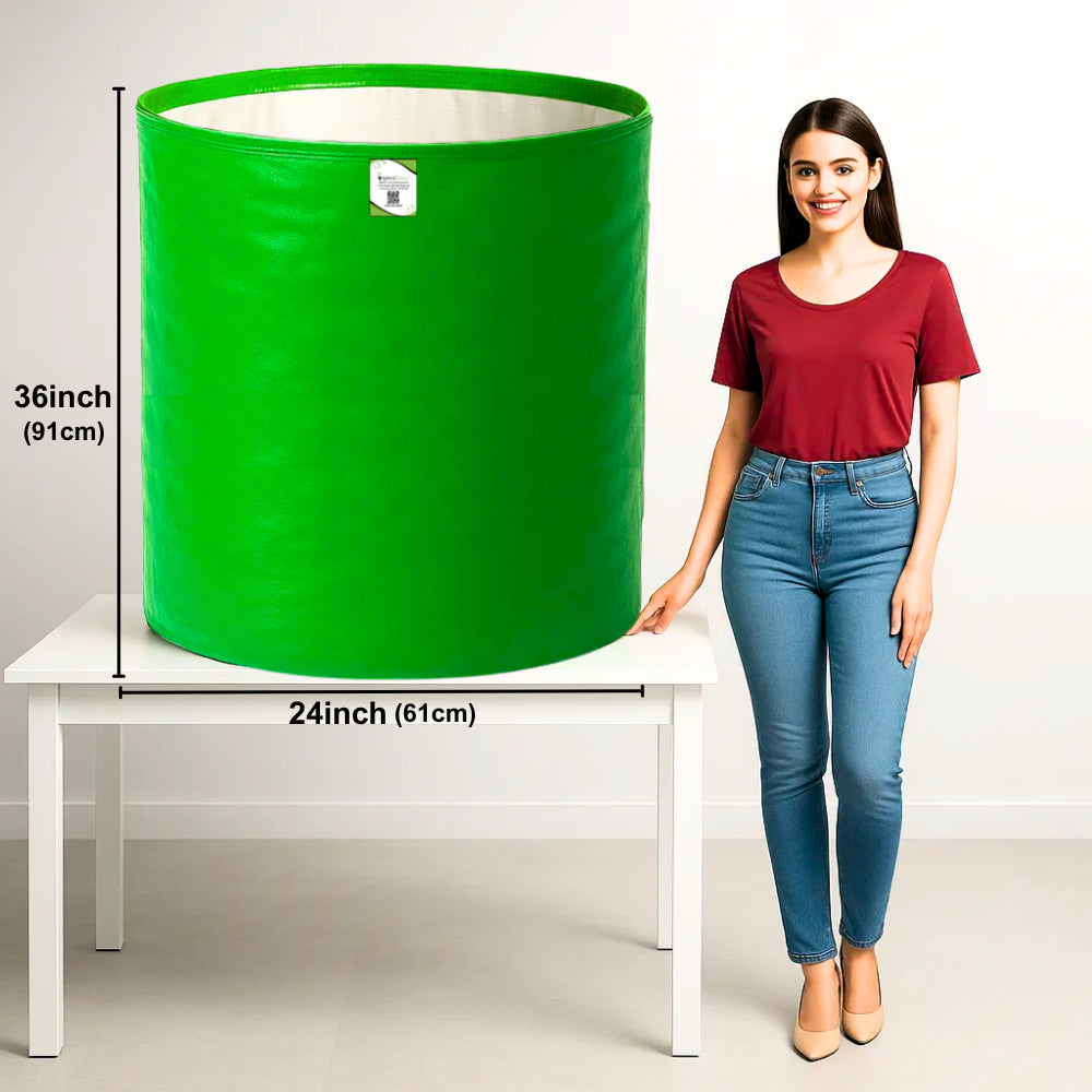 OrganicBazar 24X36 Very Large Grow Bag for Fruit Tree, Premium HDPE 26