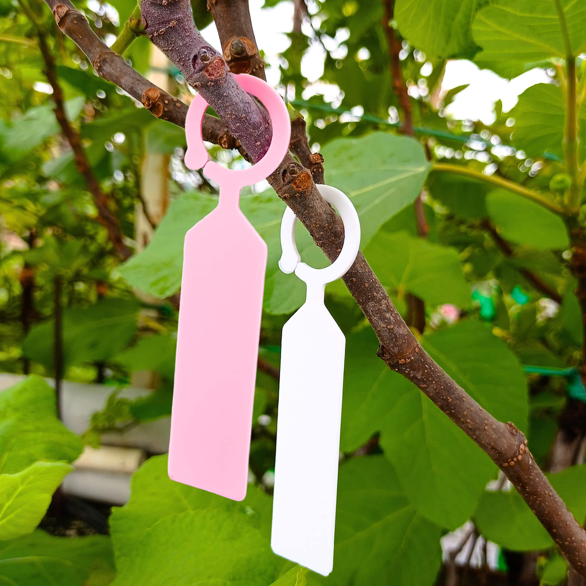 Hanging Plant Tags for Nursery & Home Garden