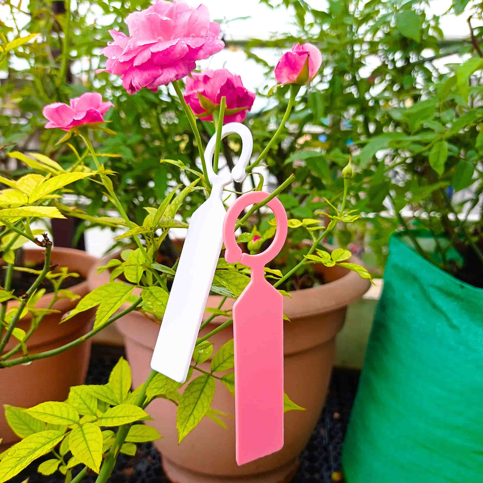 Hanging Plant Tags for Nursery & Home Garden