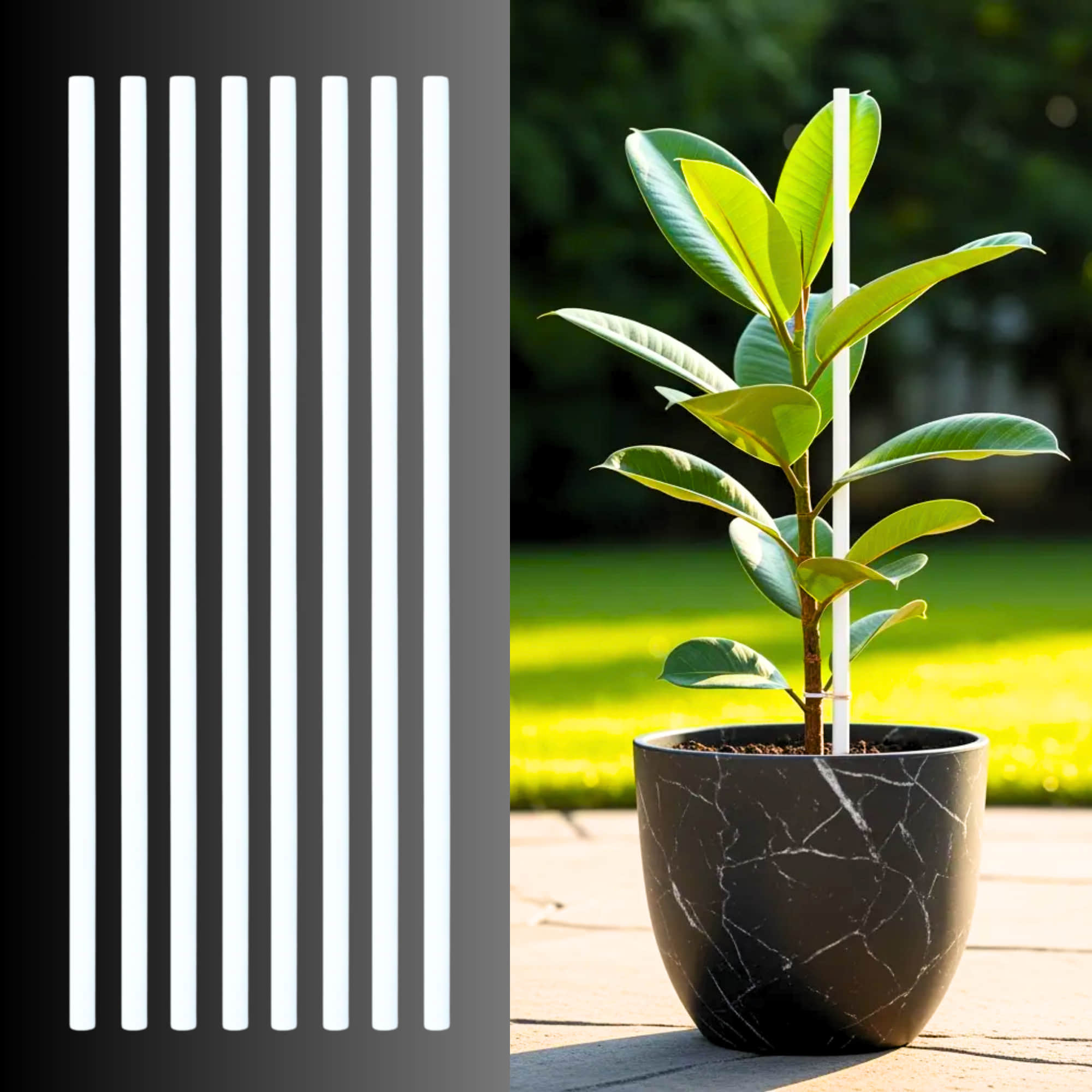 PVC Sticks Plant Support | Creepers | Climber | Garden Sticks Pack of 8 ...