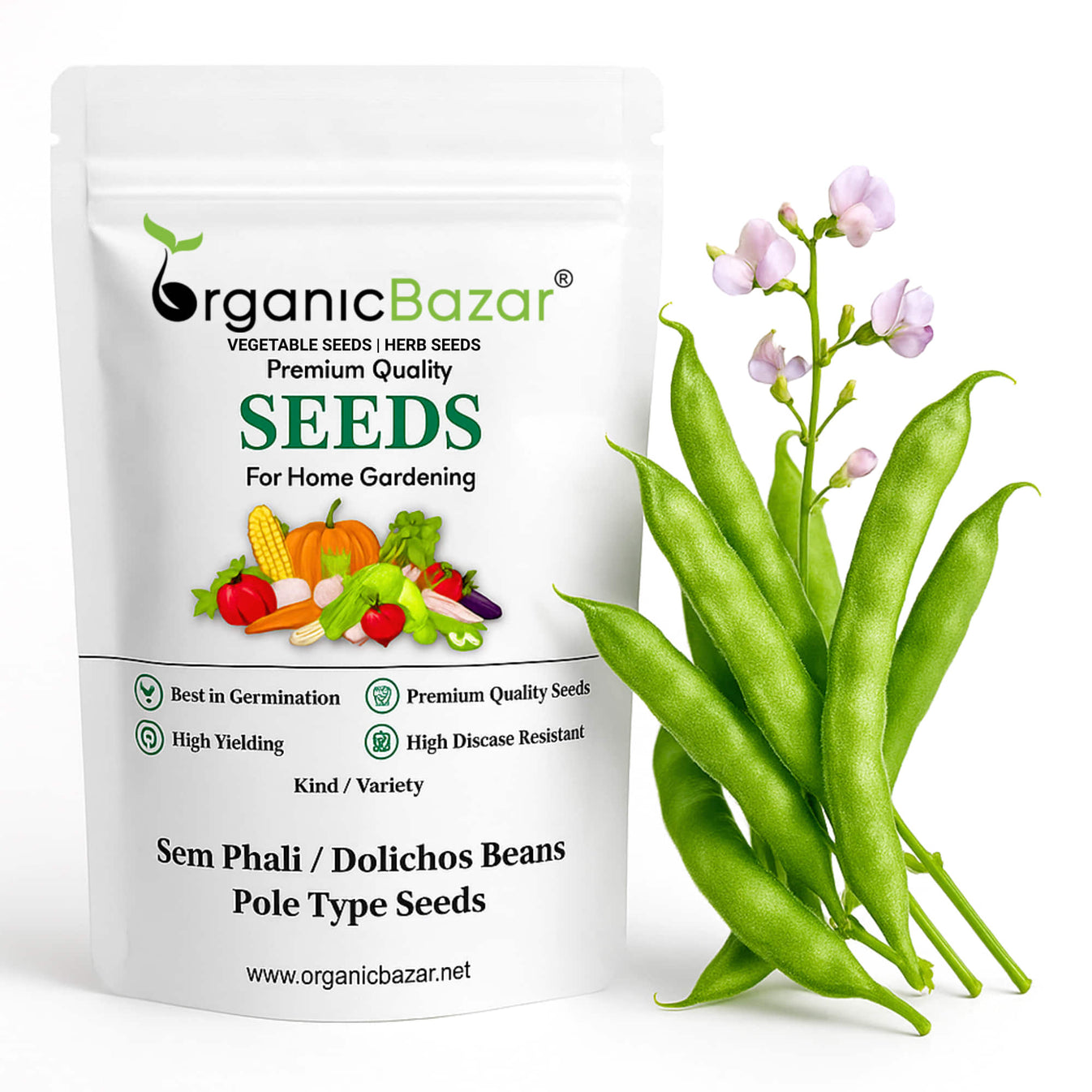 Sem Phali / Dolichos Beans Pole Type Seeds (सेम फली के बीज) -Organicbazar