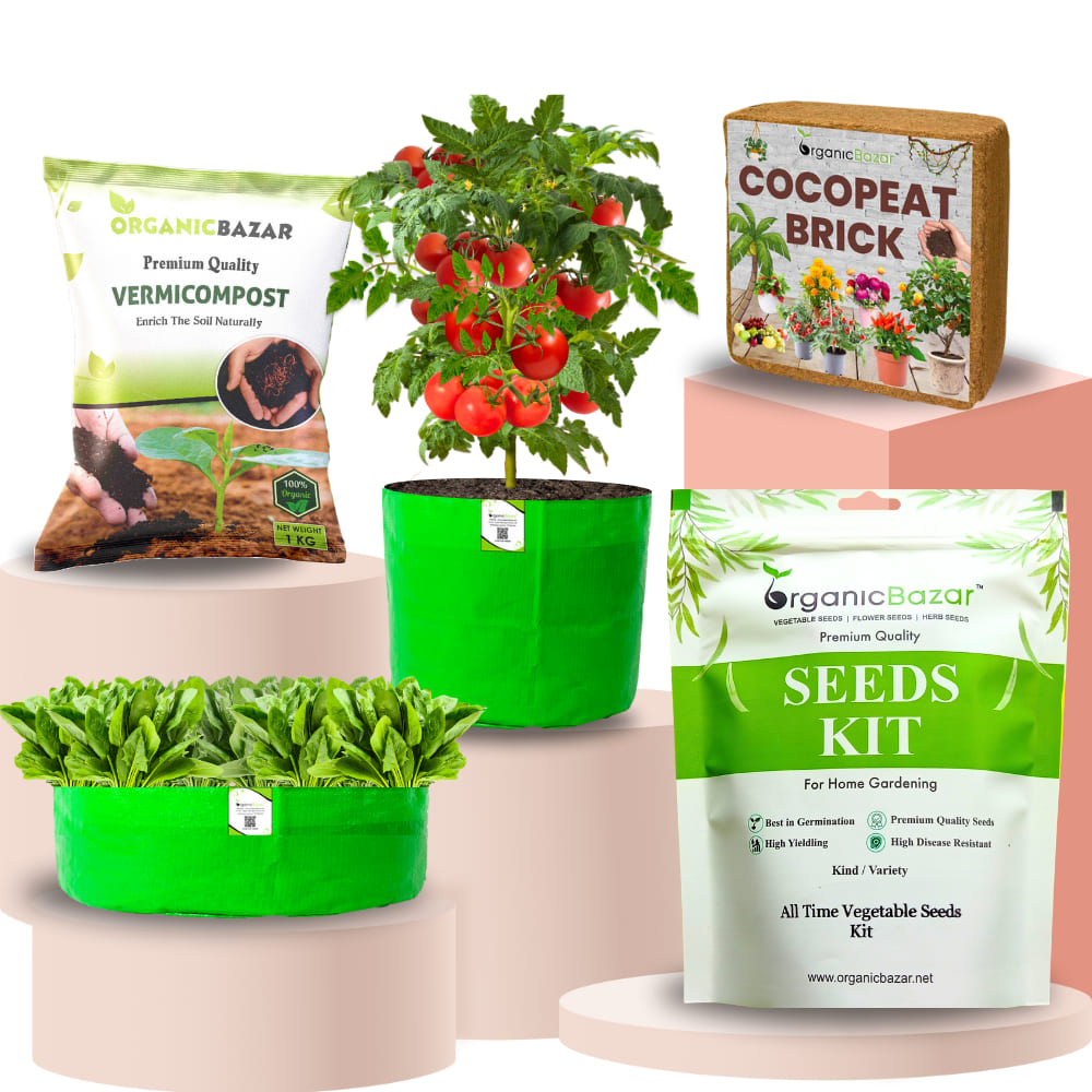 Grow Your Own Vegetables with Our Easy Vegetable Gardening Kit
