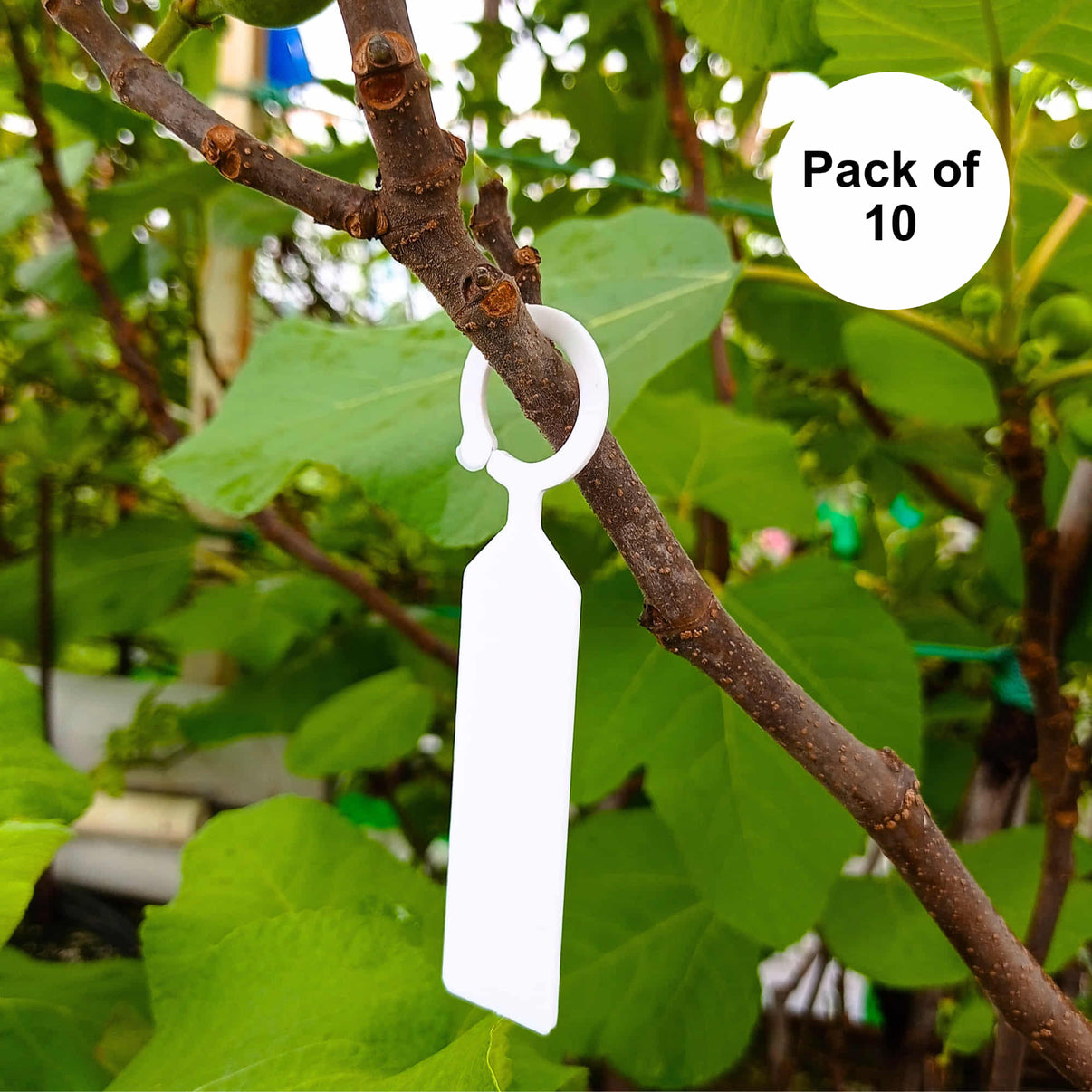 Hanging Plant Tags for Nursery & Home Garden