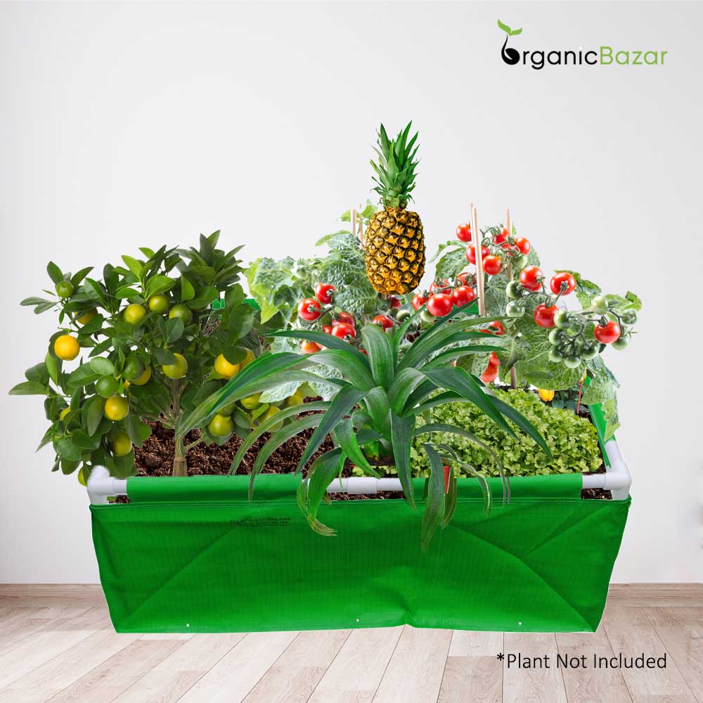 HDPE 36x24x12 Rectangle Grow Bag With Supporting Pvc Pipes Extra Thick