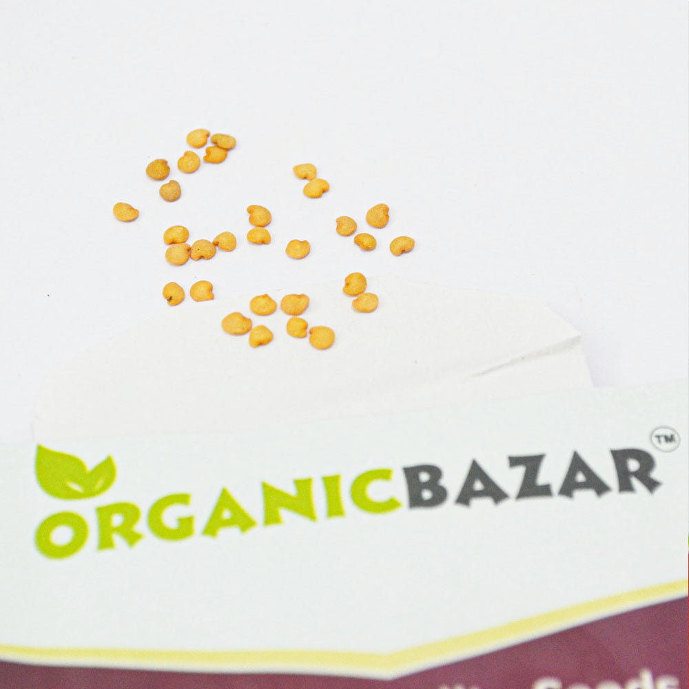 Brinjal Purple Long Seeds (Bainganee Baingan/Eggplant/बैंगनी बैंगन के